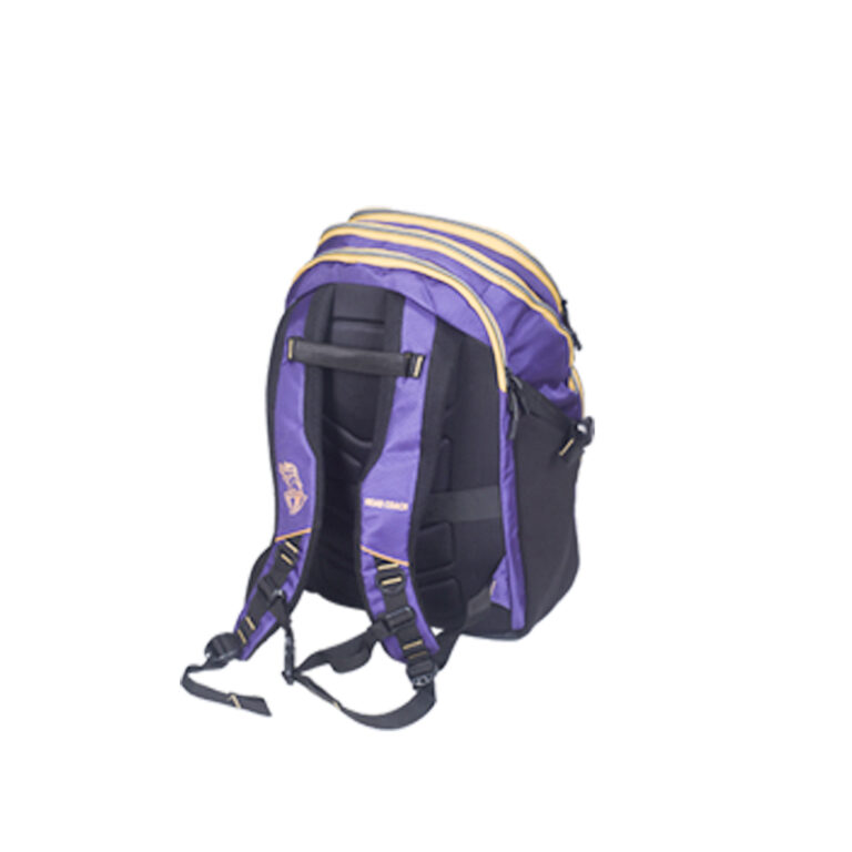 CUSTOMIZED IPL TEAM KKR CRICKET KIT BAG, DUFFLE WHEELIE & BACKPACK ...